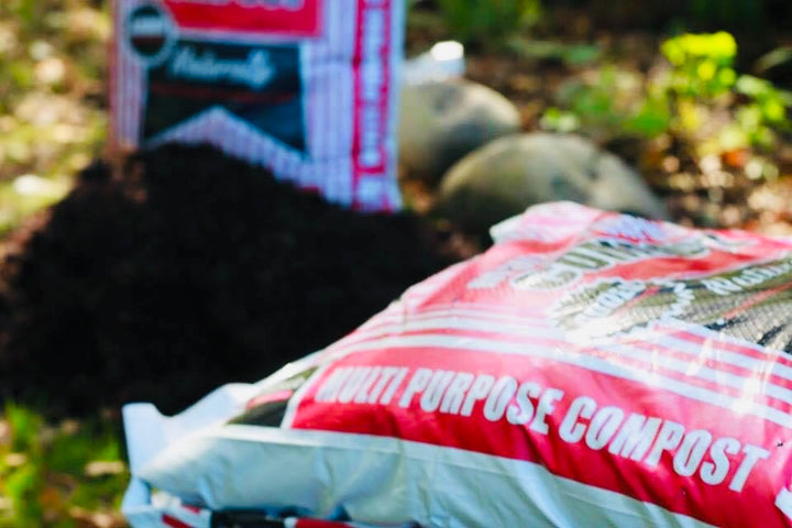 The Dirt on Manure vs. Mushroom Compost