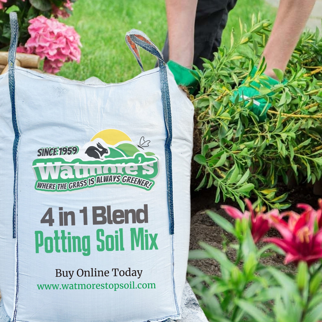 Benefits Of Manure Compost In Your Garden