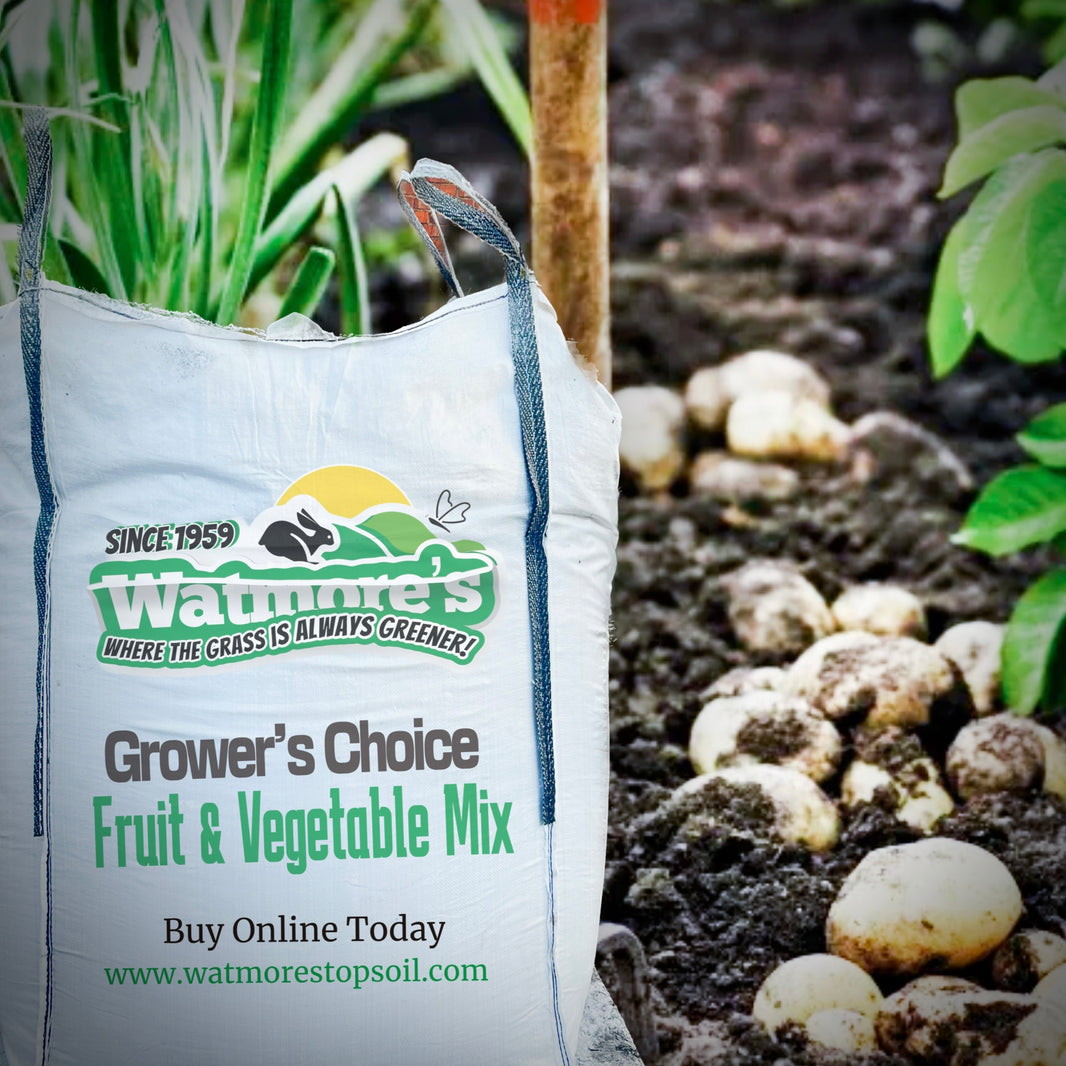 Benefits Of Manure Compost In Your Garden